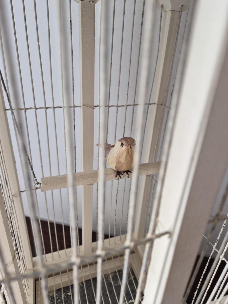 Shabby Chic Tower Bird Cage - Etsy