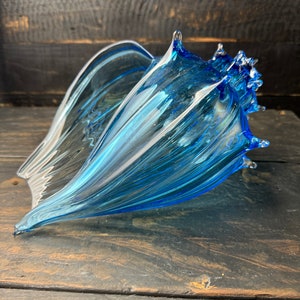 Glass Sea Shell 442-528 - Etsy