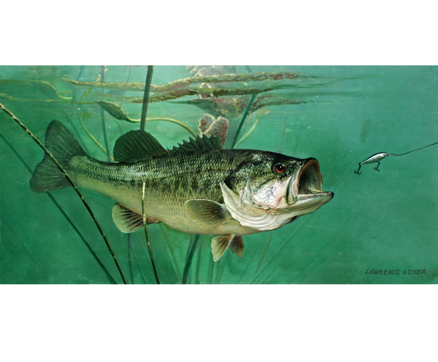 Largemouth Bass Painting