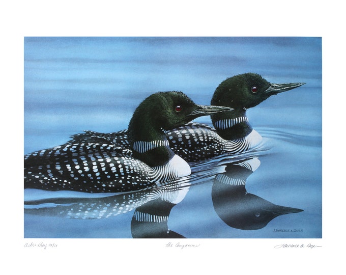 Loons Loon Pair Artist Proof Signed Limited Edition Print From an ...