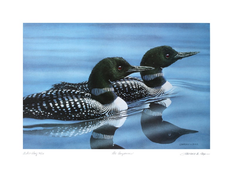 Loons Loon Pair Artist Proof Signed Limited Edition Print From | Etsy