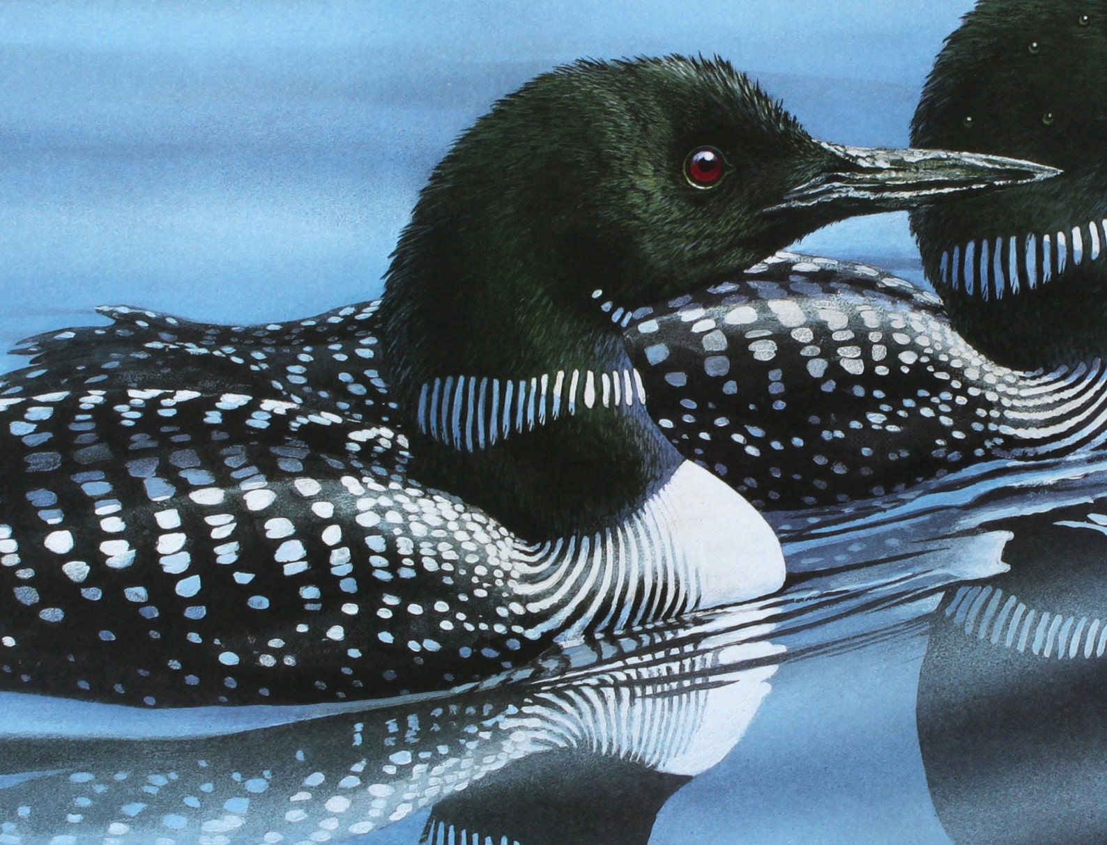 Loons Loon Pair Artist Proof Signed Limited Edition Print From - Etsy