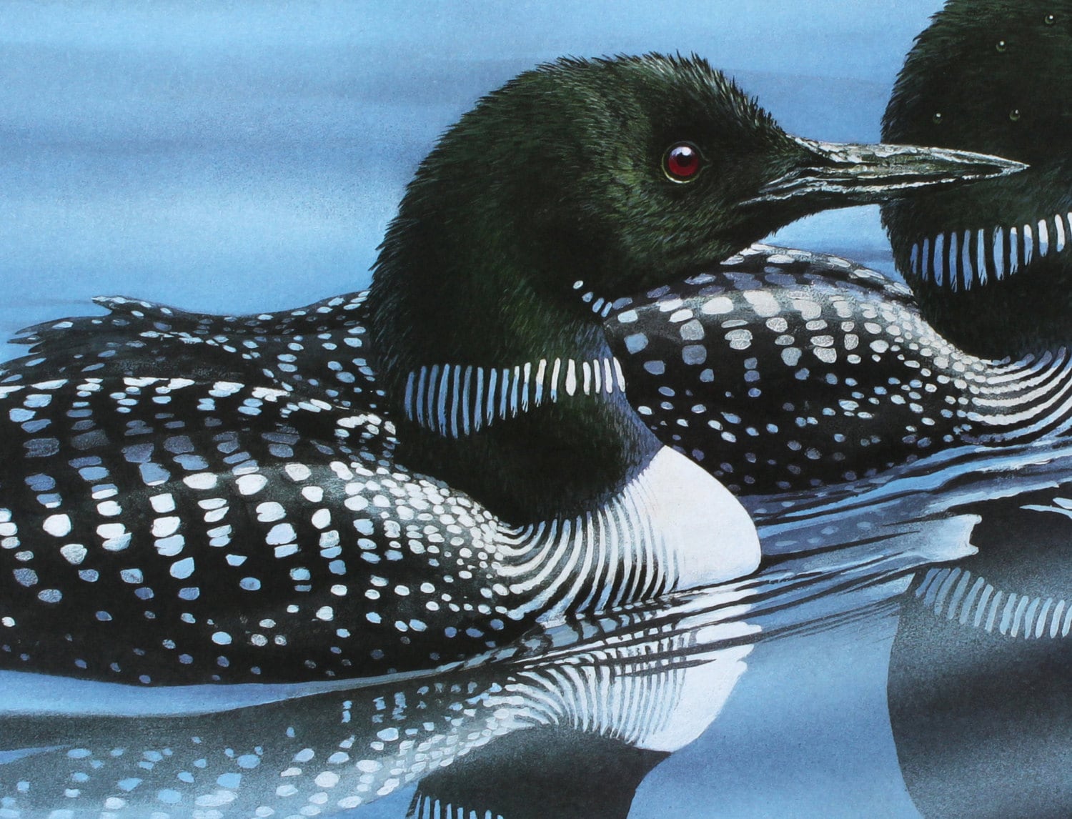 Loons Loon Pair Artist Proof Signed Limited Edition Print From | Etsy