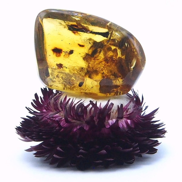 Amber With Insect - Etsy
