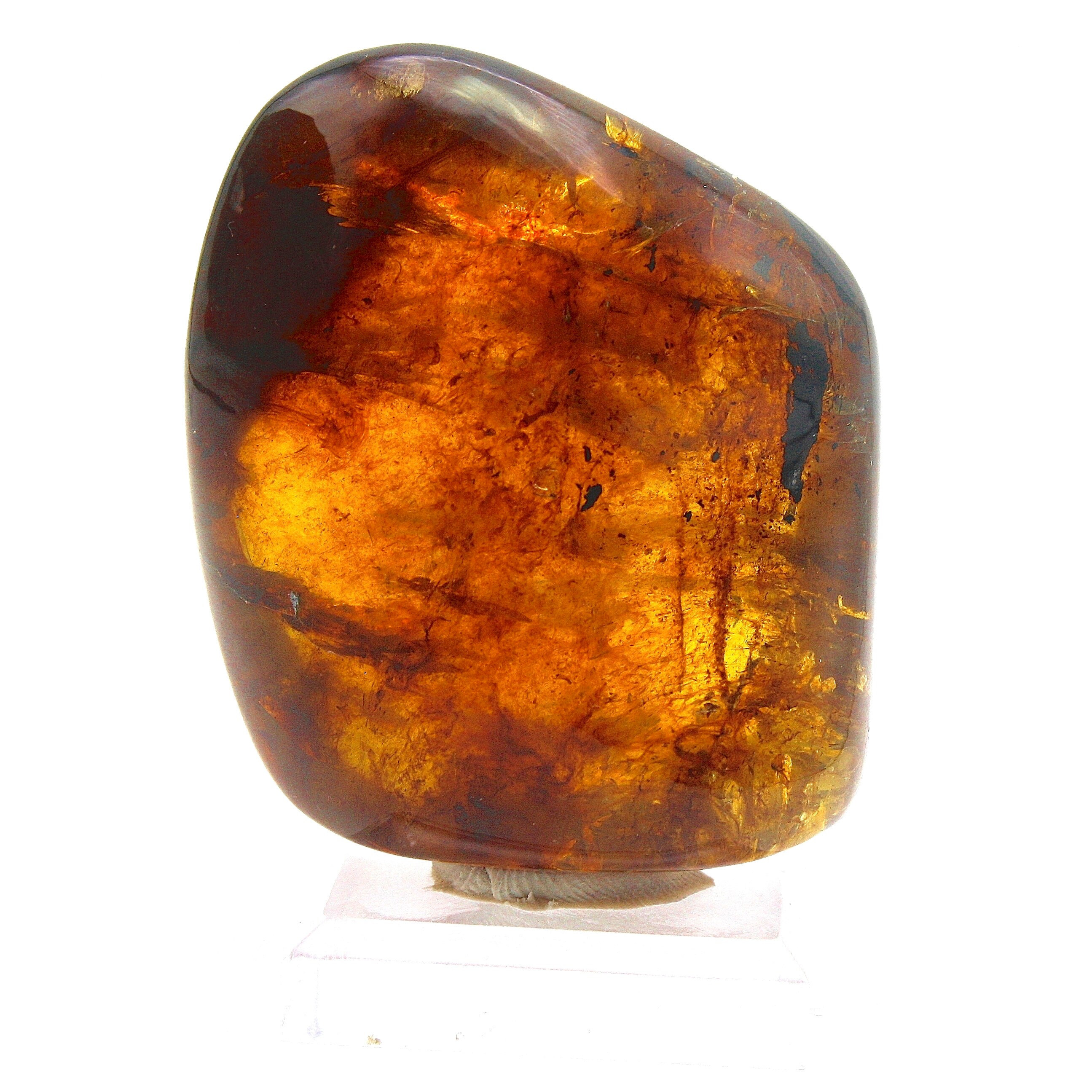 Pieza de ámbar mexicano totalmente pulida 269526 | Etsy