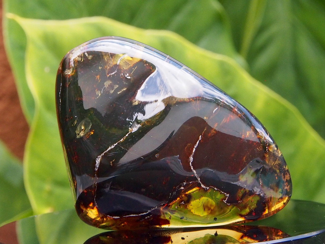 Fully Polished Mexican Amber Piece 269524 | Etsy