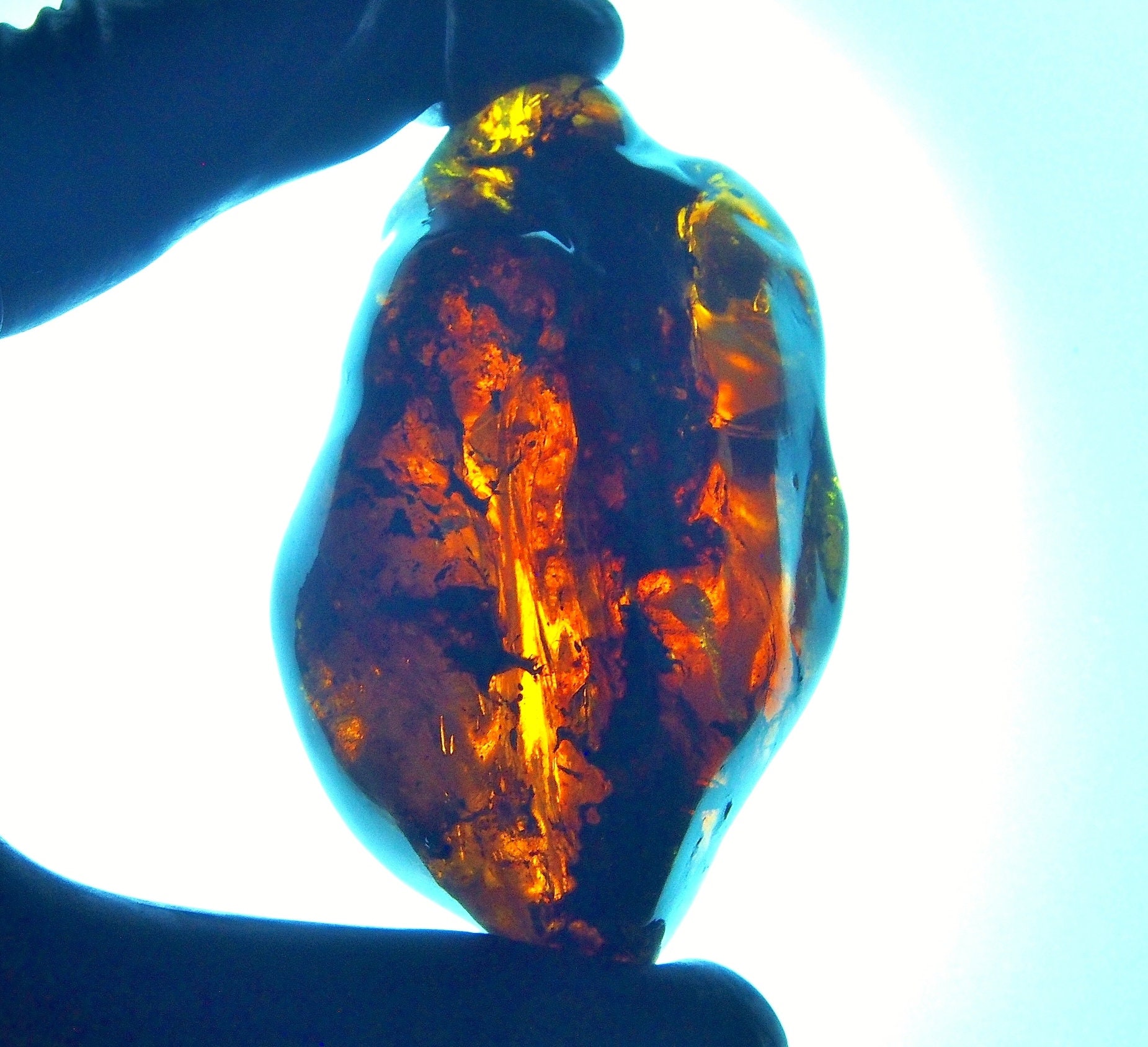 Fully Polished Mexican Amber Piece 269525 | Etsy