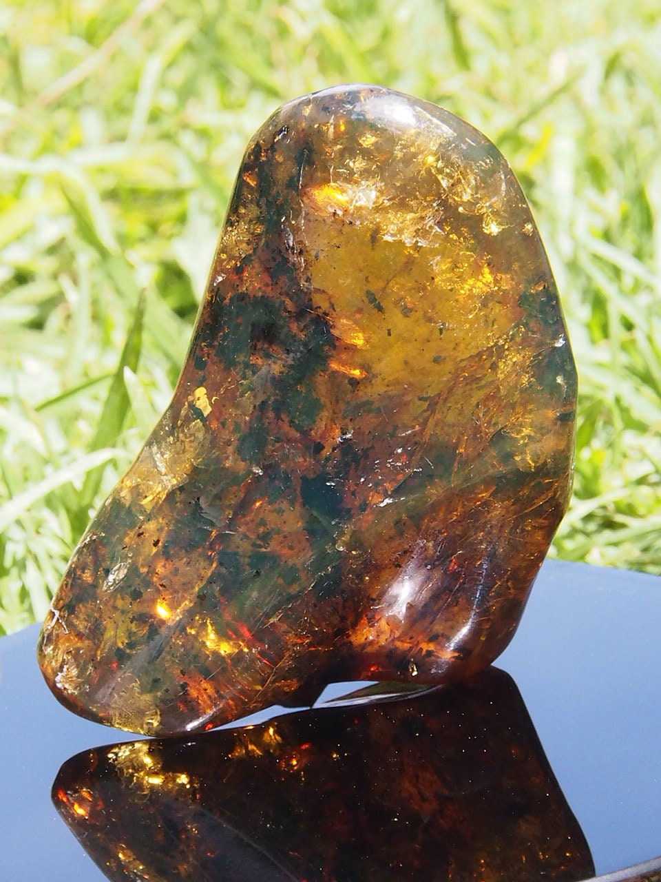 Pieza de ámbar mexicano totalmente pulida 269522 | Etsy