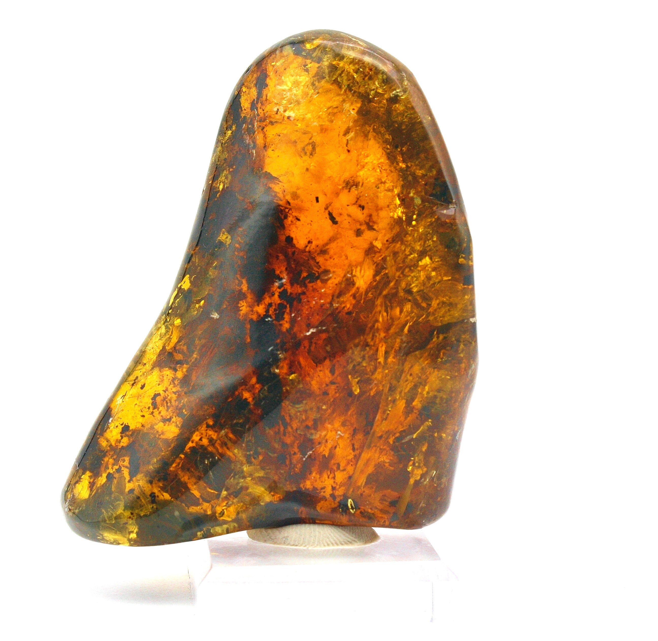 Pieza de ámbar mexicano totalmente pulida 269522 | Etsy