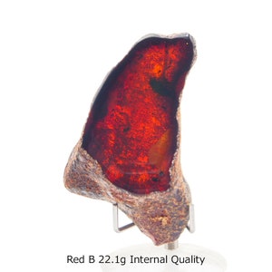 Fabulous Red Mexican Amber Specimen - Etsy