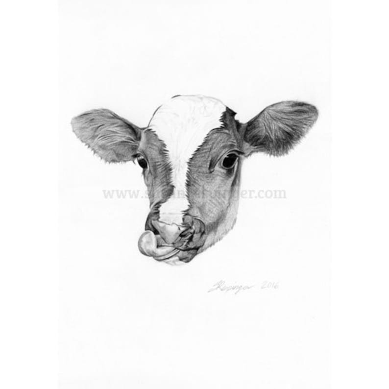 Cow Head Limited Edition Print - Etsy