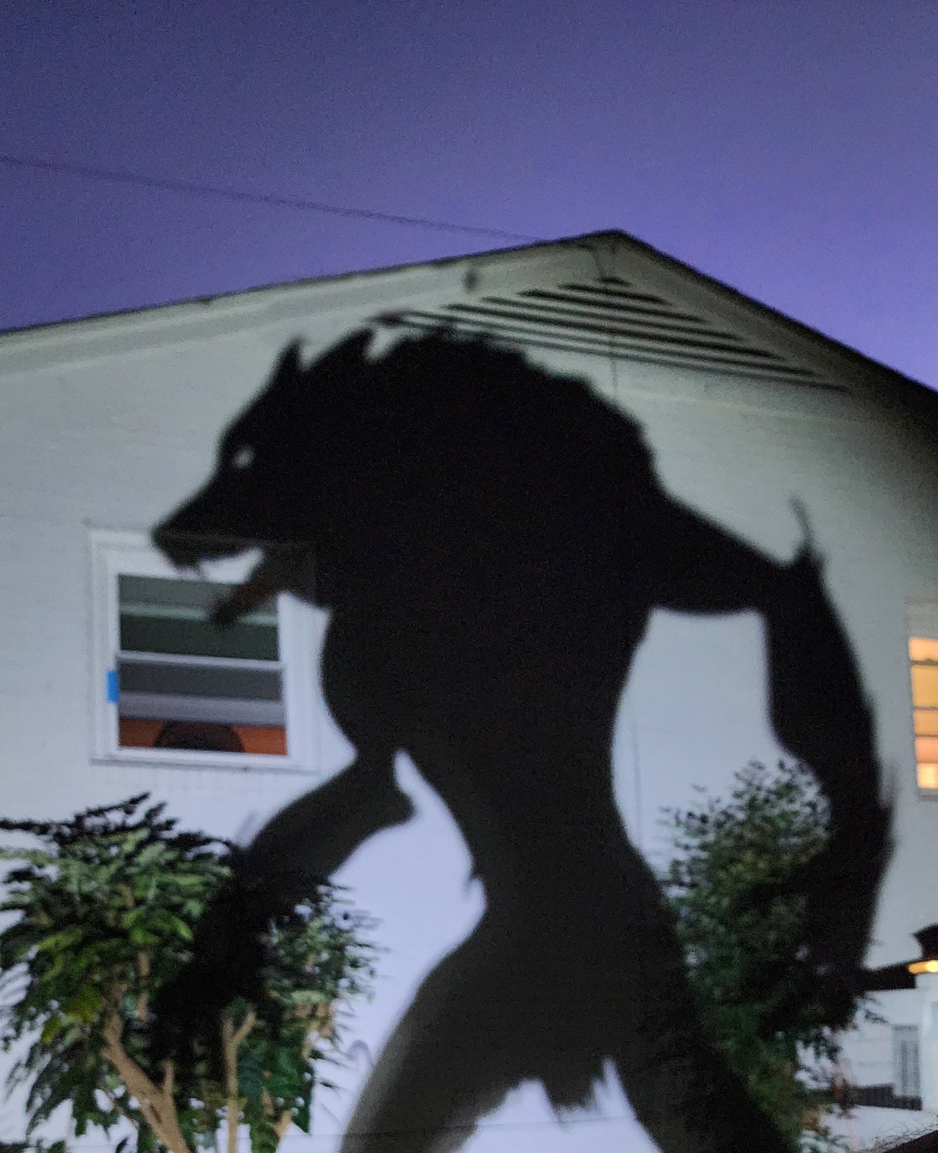 Shadow Werewolf