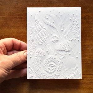 8 3D Seashell Note Cards, White Embossed Ocean Note Card Set, Blank Sea ...
