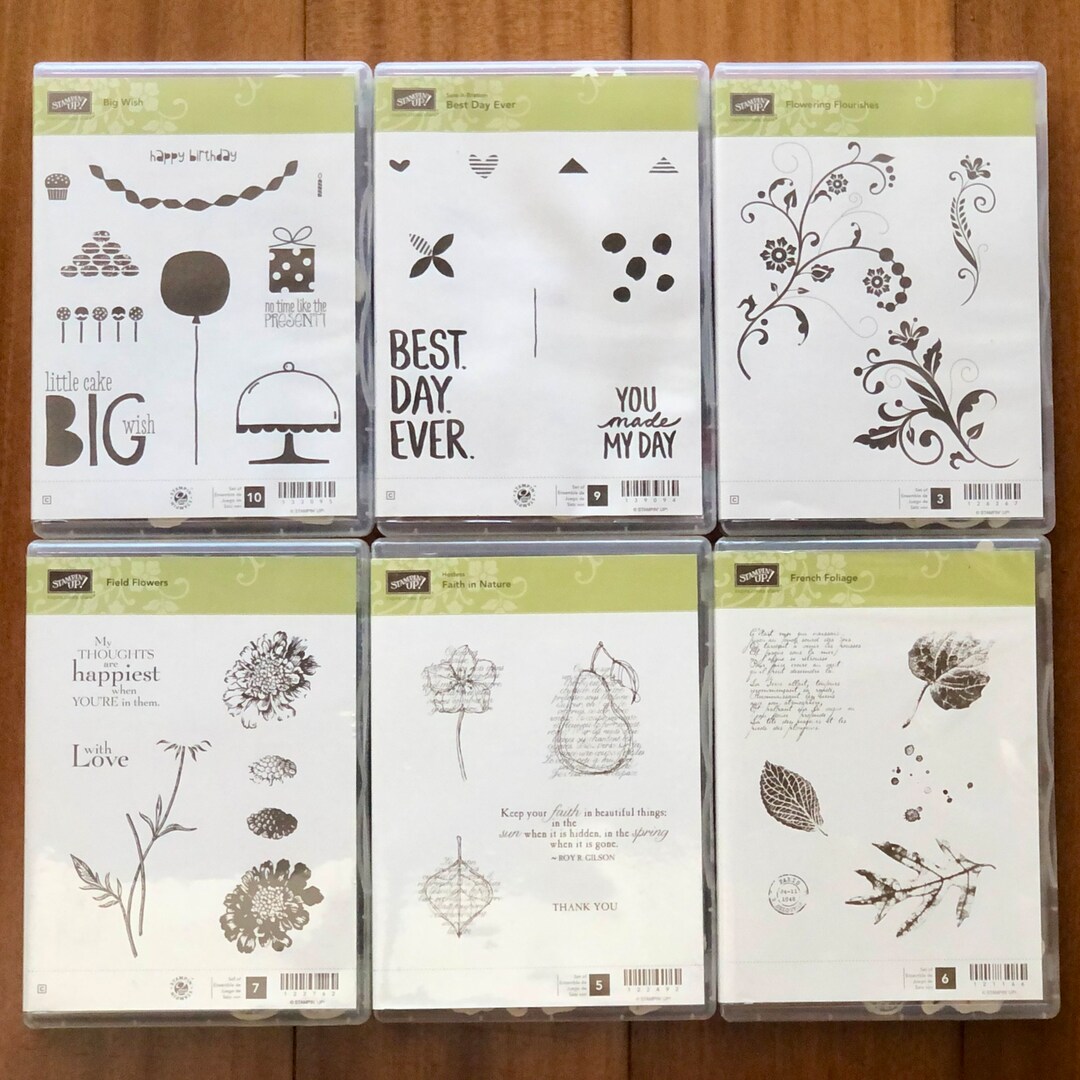 Stampin up Retired Stamps Sets, Best Day Ever, Flowering Flourishes ...