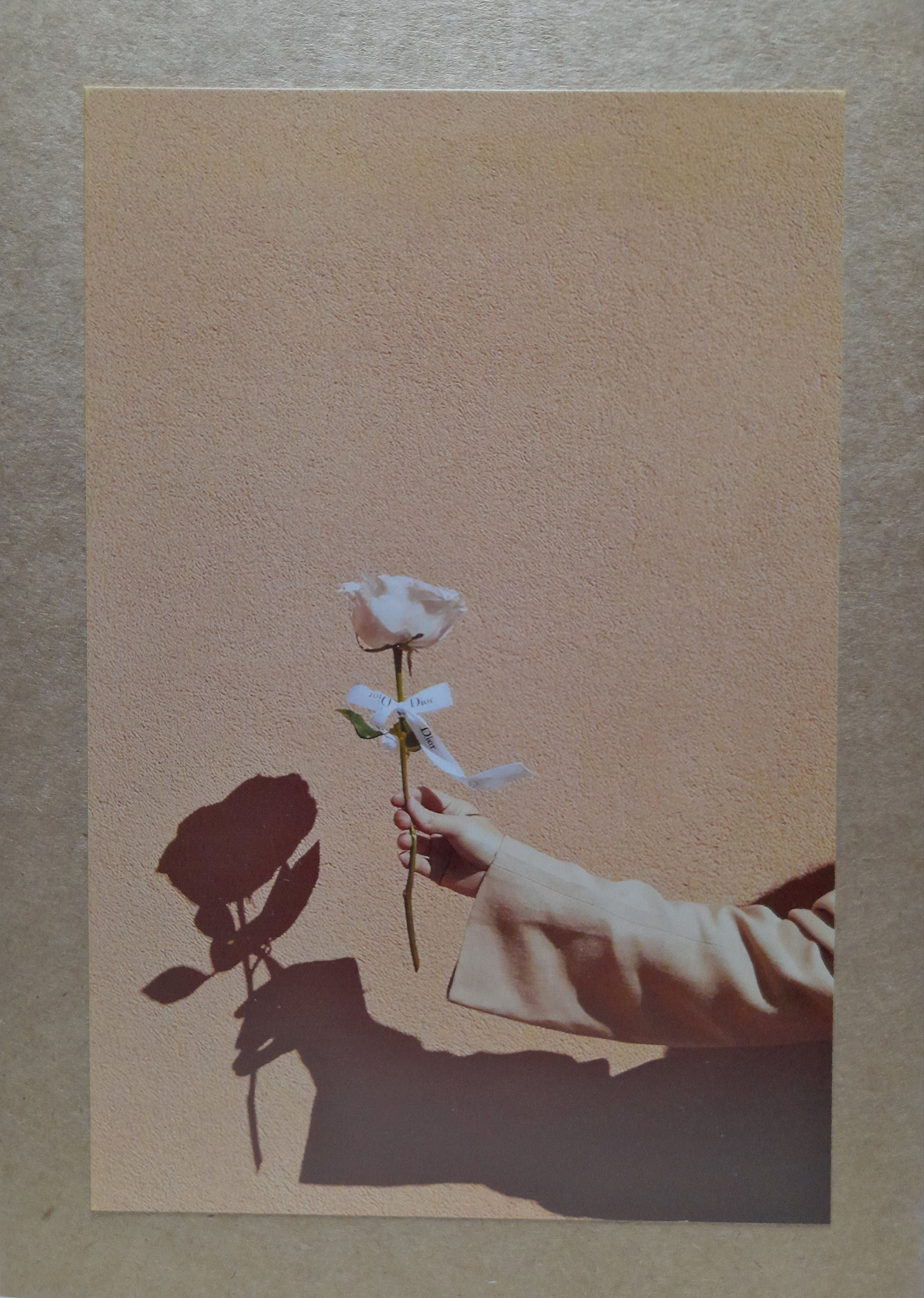 Aesthetic Greetings Cards - Etsy