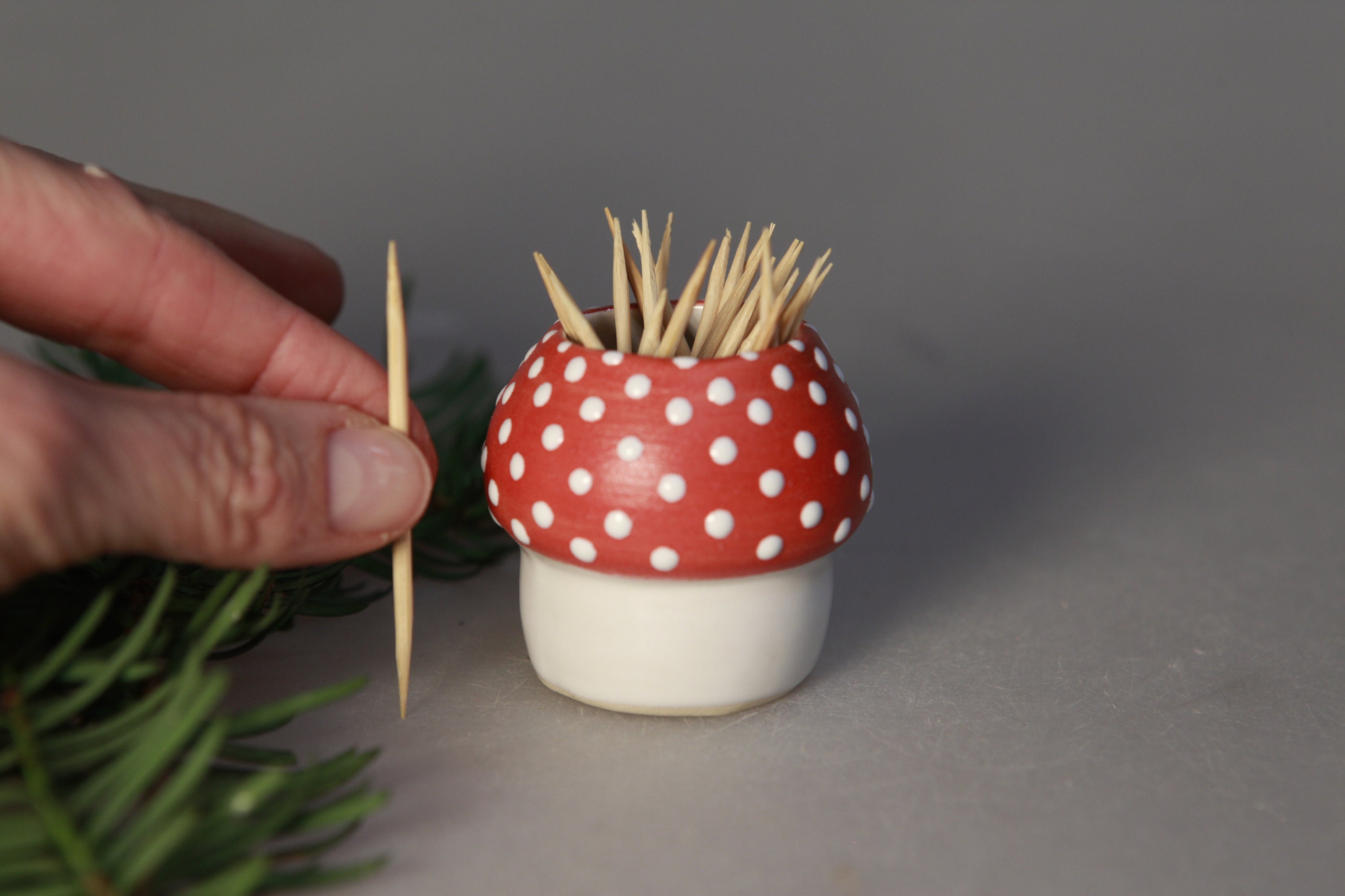 Amanita Tootpick Holder | Etsy