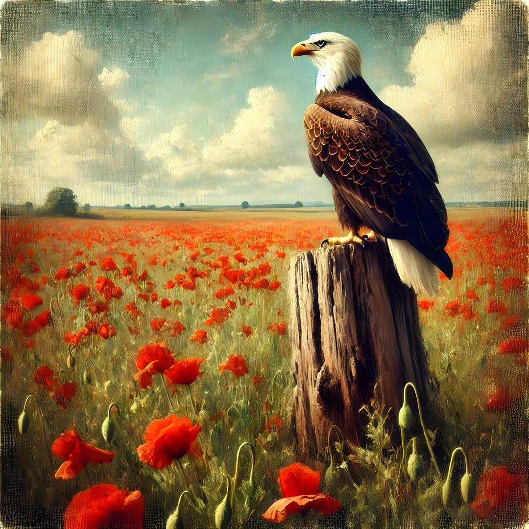 Bald Eagle And Poppy Field Patriotic Wall Art Digital Download Memorial
