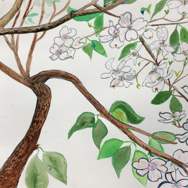 Dogwood Tree - Etsy