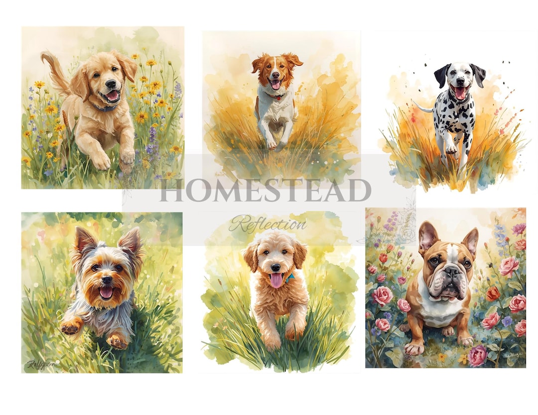 A4 Rice Paper Decoupage/puppy Rice Paper/dog Decoupage/ Dog Rice Paper ...