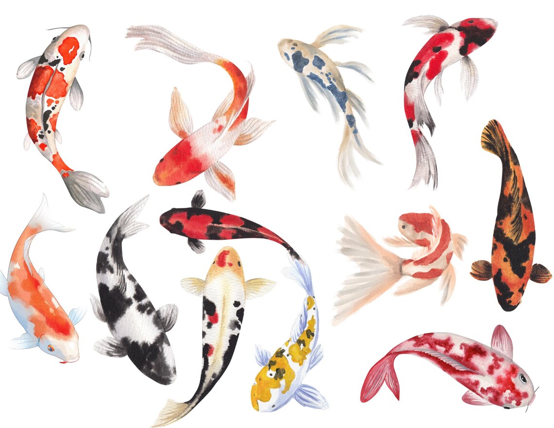 A4 Rice Paper/ Koi Fish Paper / Koi Fish Pattern / Asian Decoupage ...