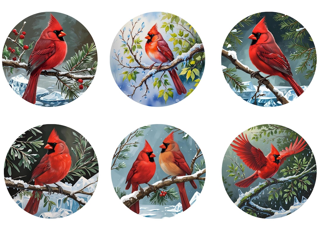 A4 Rice Paper Decoupage / Red Cardinals Rice Paper/red Cardinal ...