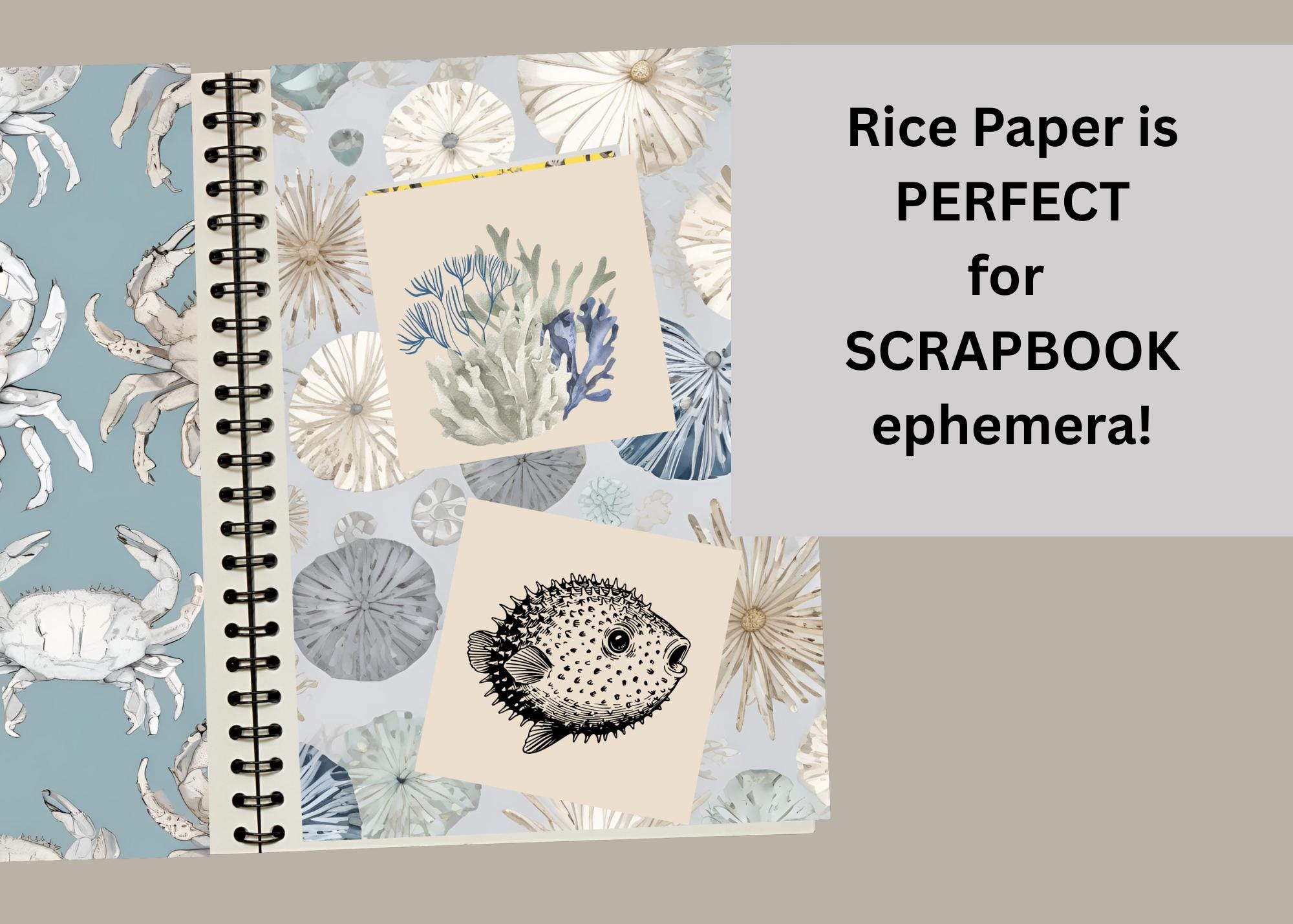 Rice Paper for Decoupage / Sea Turtle Ephemera / A4 Rice Paper ...