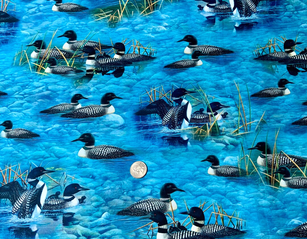 Quilting Treasures, Lakeside Loons, Ducks, Ducks in Nature, Duck Pond ...