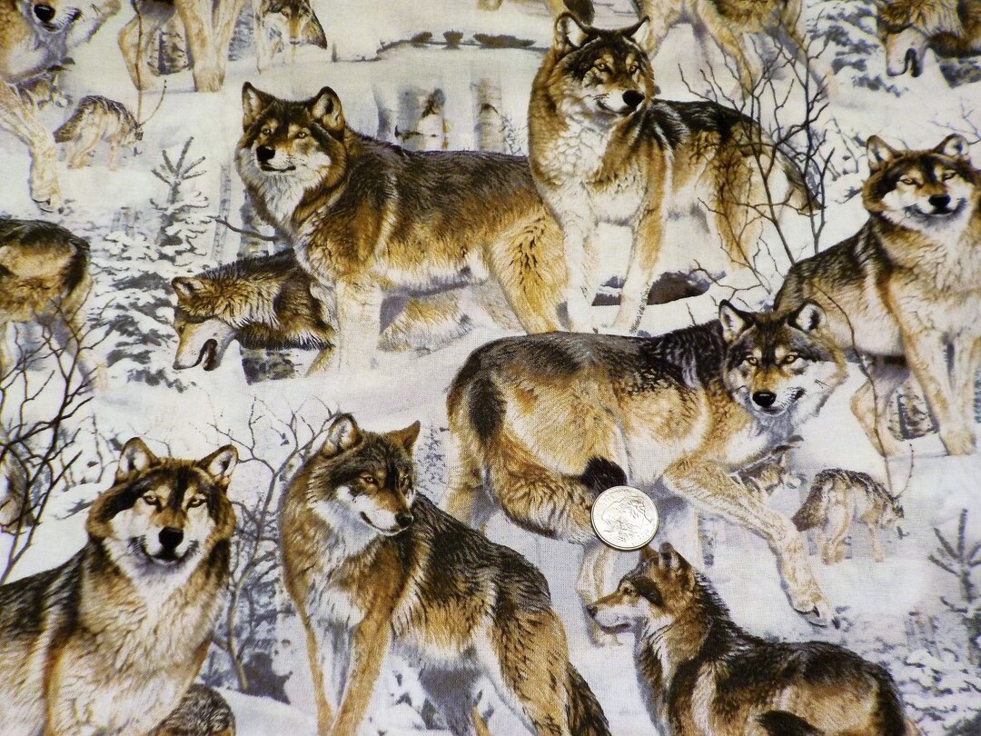 Cotton Fabric, David Textiles, Wolves, Wolf, Born Free, Wolves in the ...