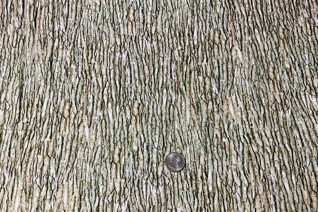 Quilting Treasures, Tree Bark, Tree, Tree Trunk, Cotton, Quilting ...