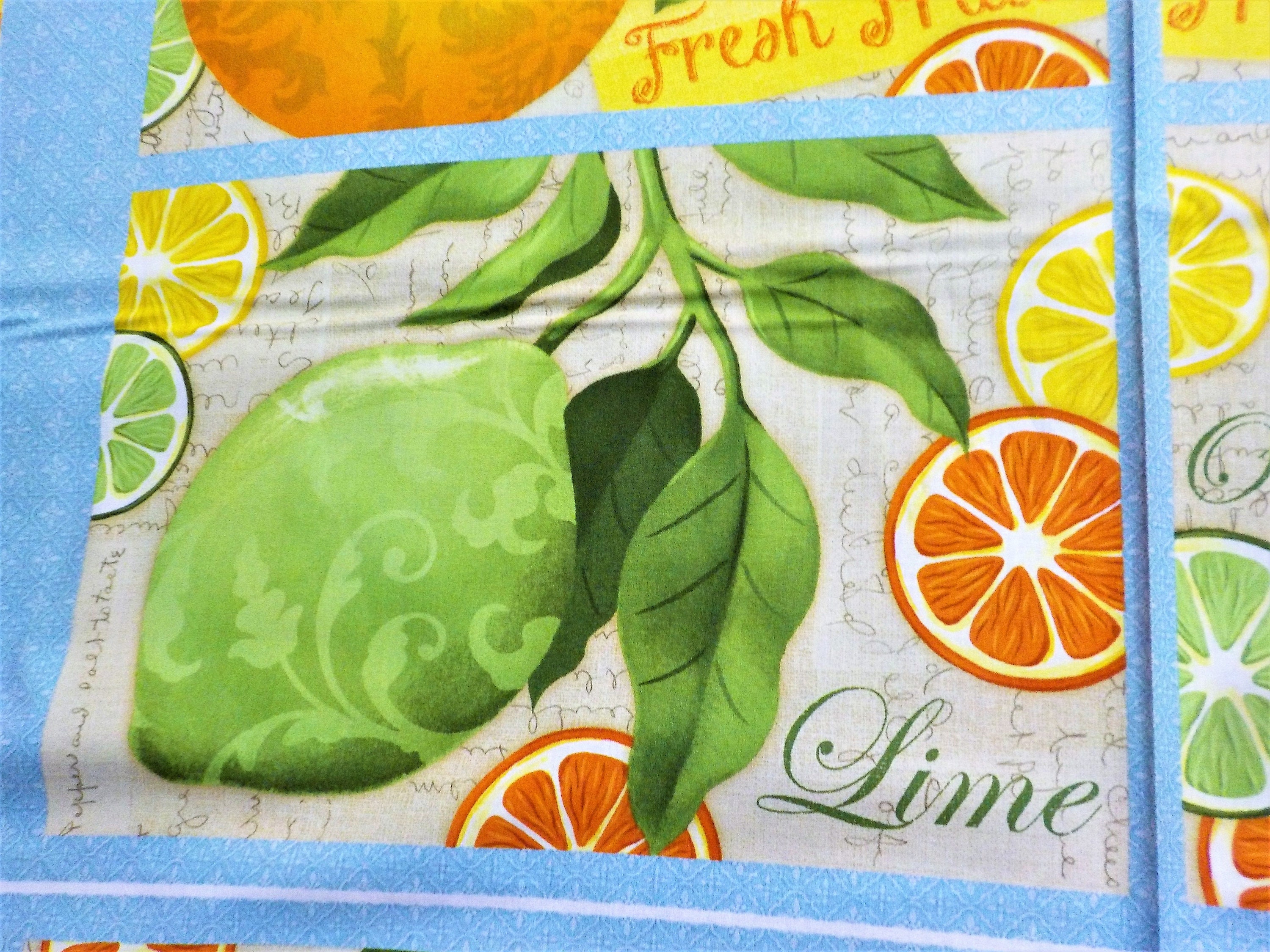 Spx-citrus Fruit Panel Each Panel is 24 X 44 4 Fruit - Etsy