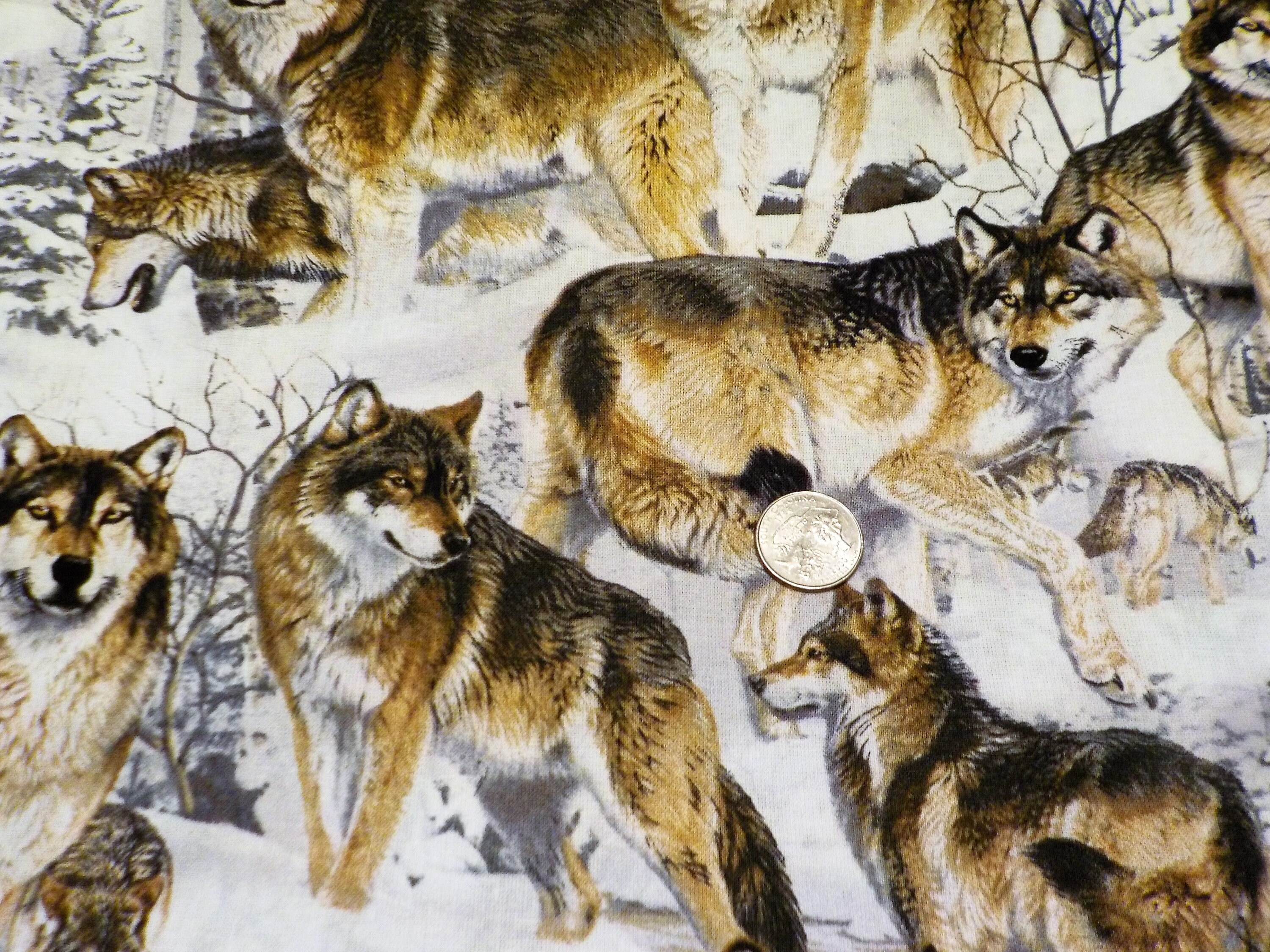 Cotton Fabric David Textiles Wolves Wolf Born Free Wolves - Etsy