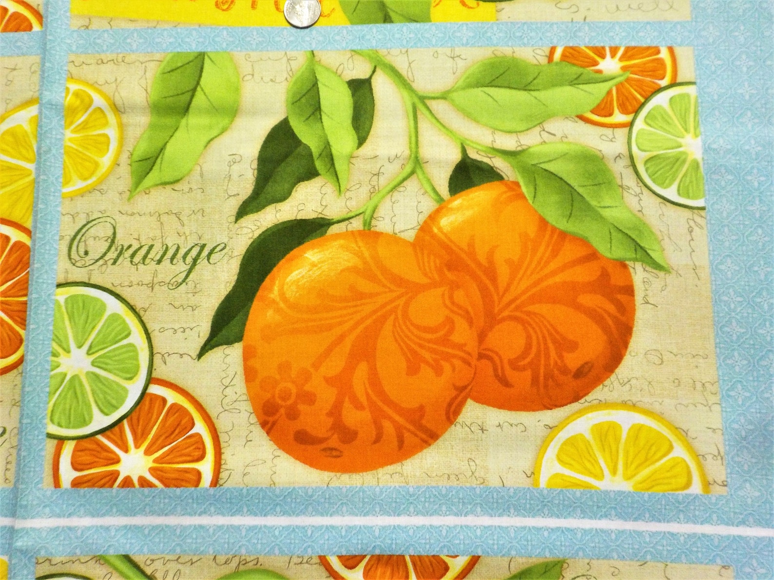 Spx-citrus Fruit Panel Each Panel is 24 X 44 4 Fruit - Etsy