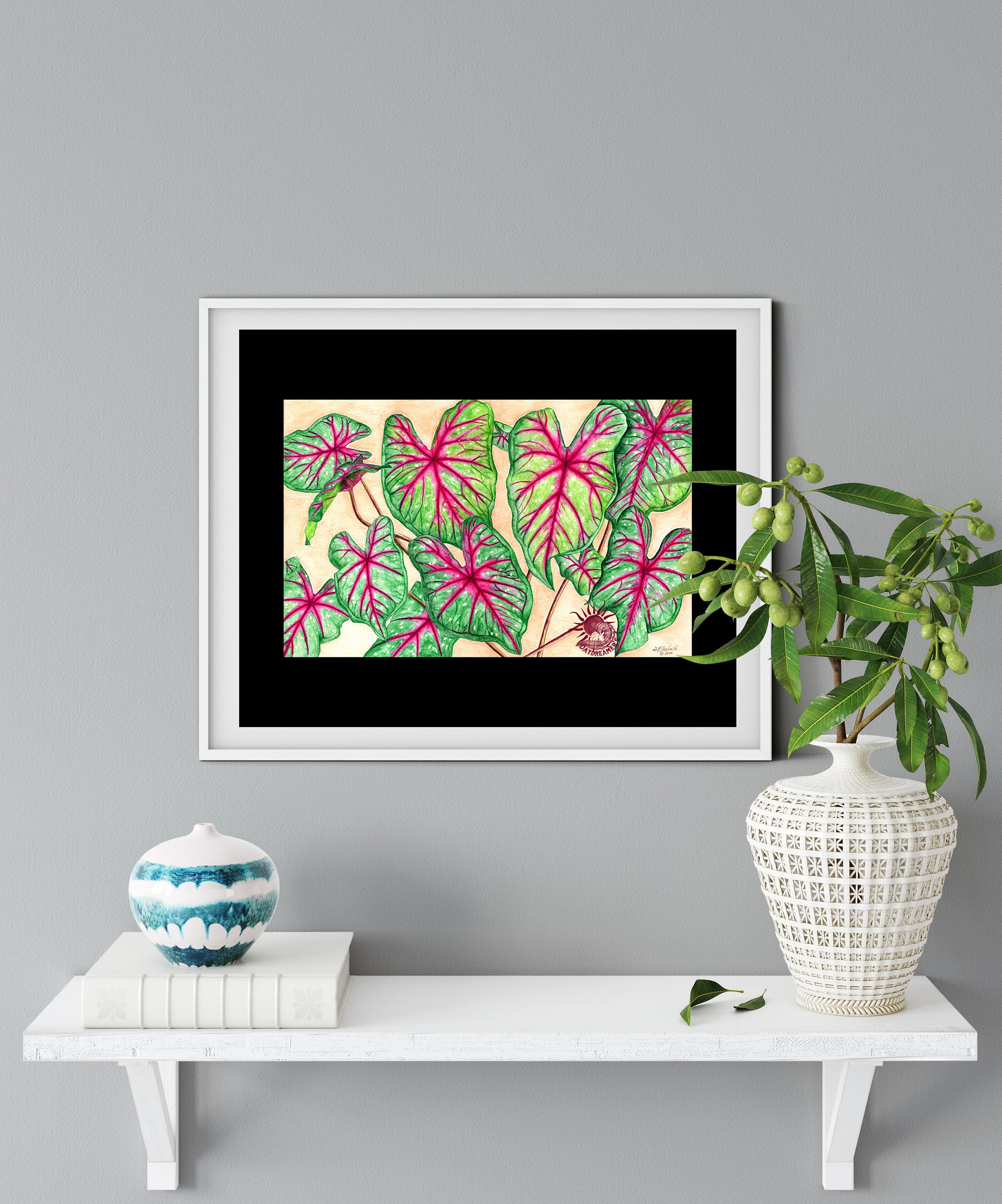 Caladium Art Print Botanical Prints Round or Square | Etsy