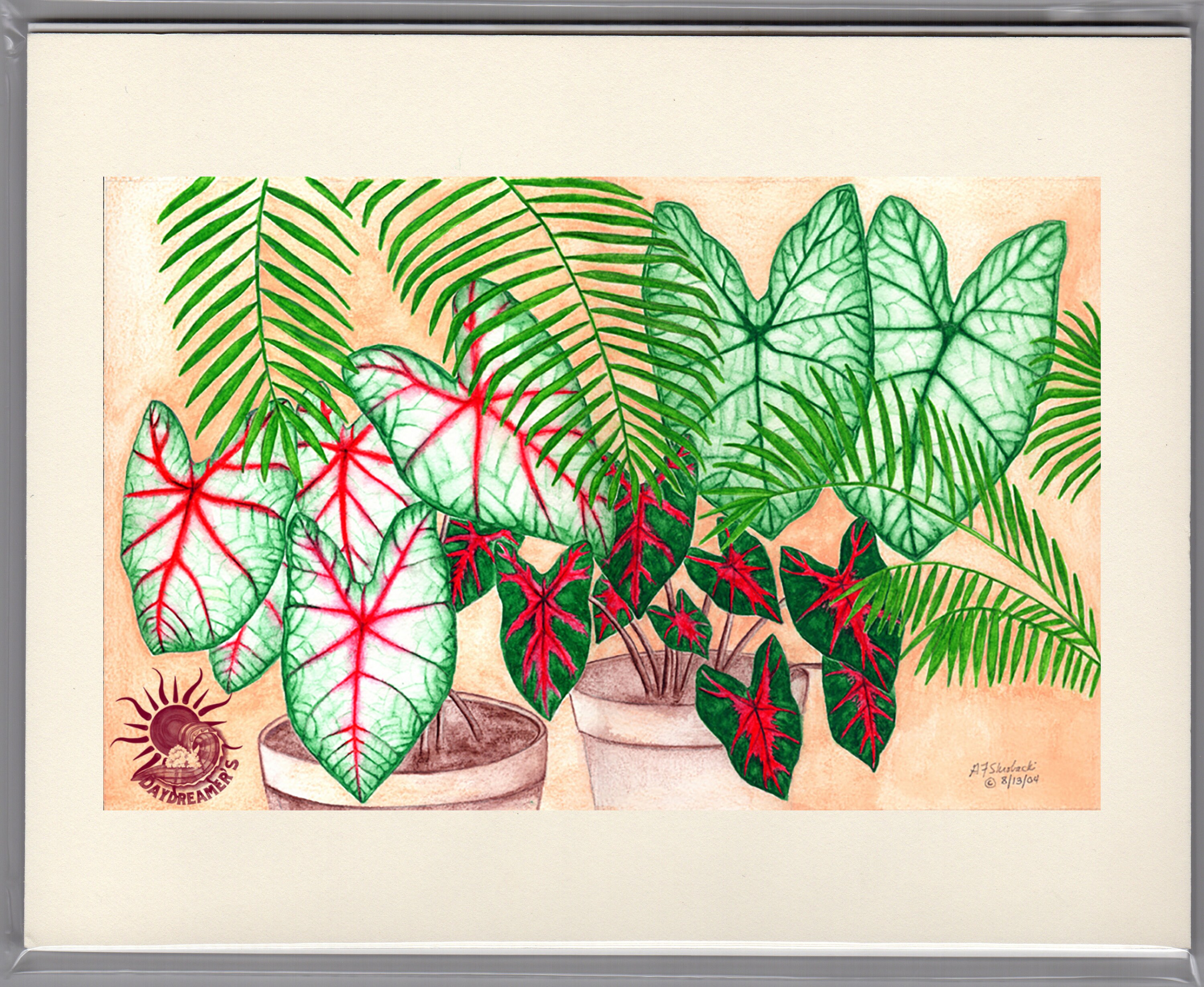 Caladium Art Print Botanical Prints Round or Square | Etsy