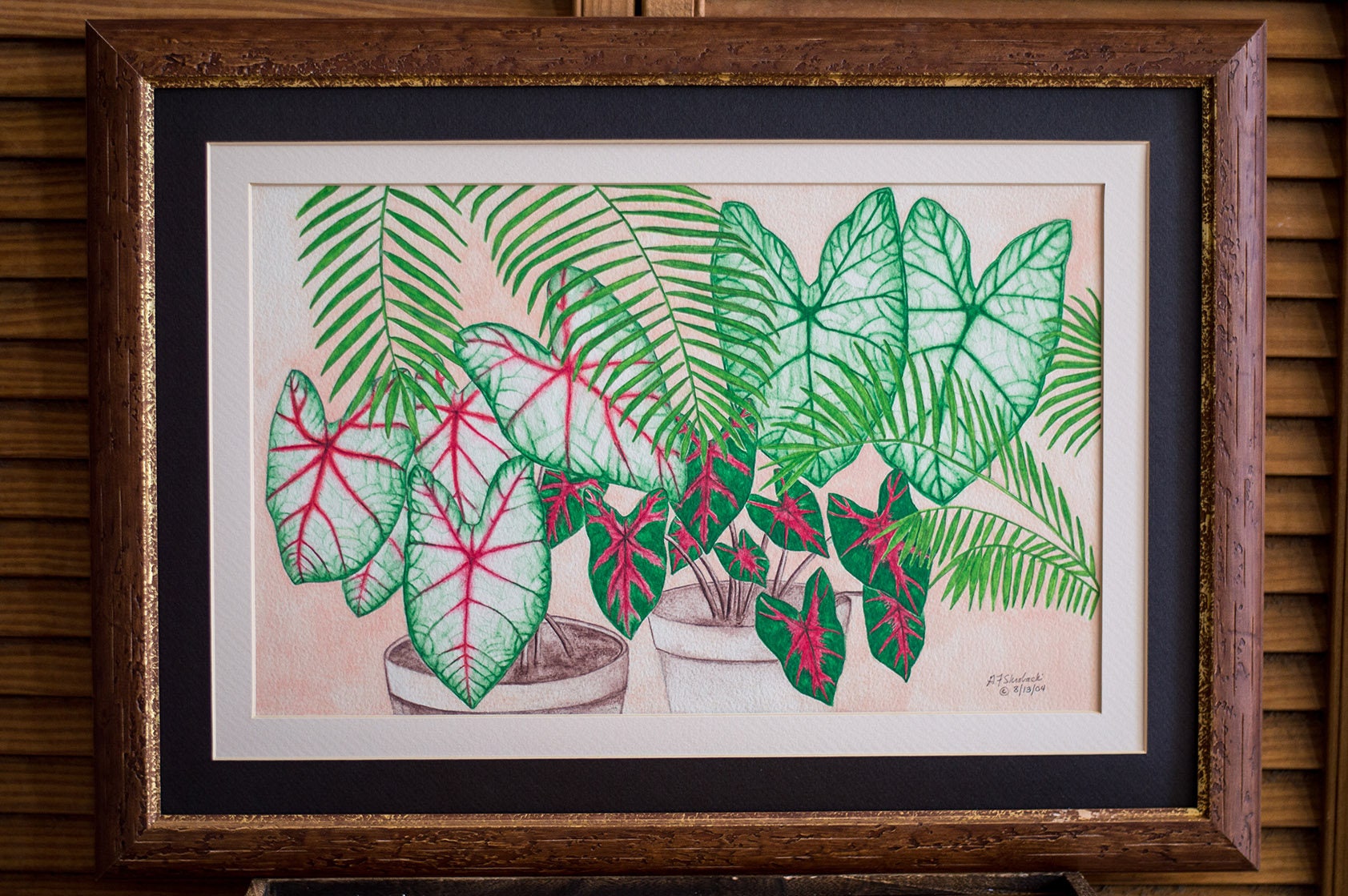 Caladium Art Print Botanical Prints Round or Square | Etsy