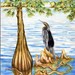 Anhinga Bird Prints Round or Square Coasters Original Bird - Etsy