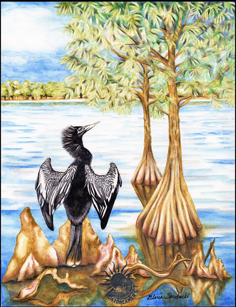 Anhinga Bird Prints, Round or Square Coasters, Original Bird Artwork ...