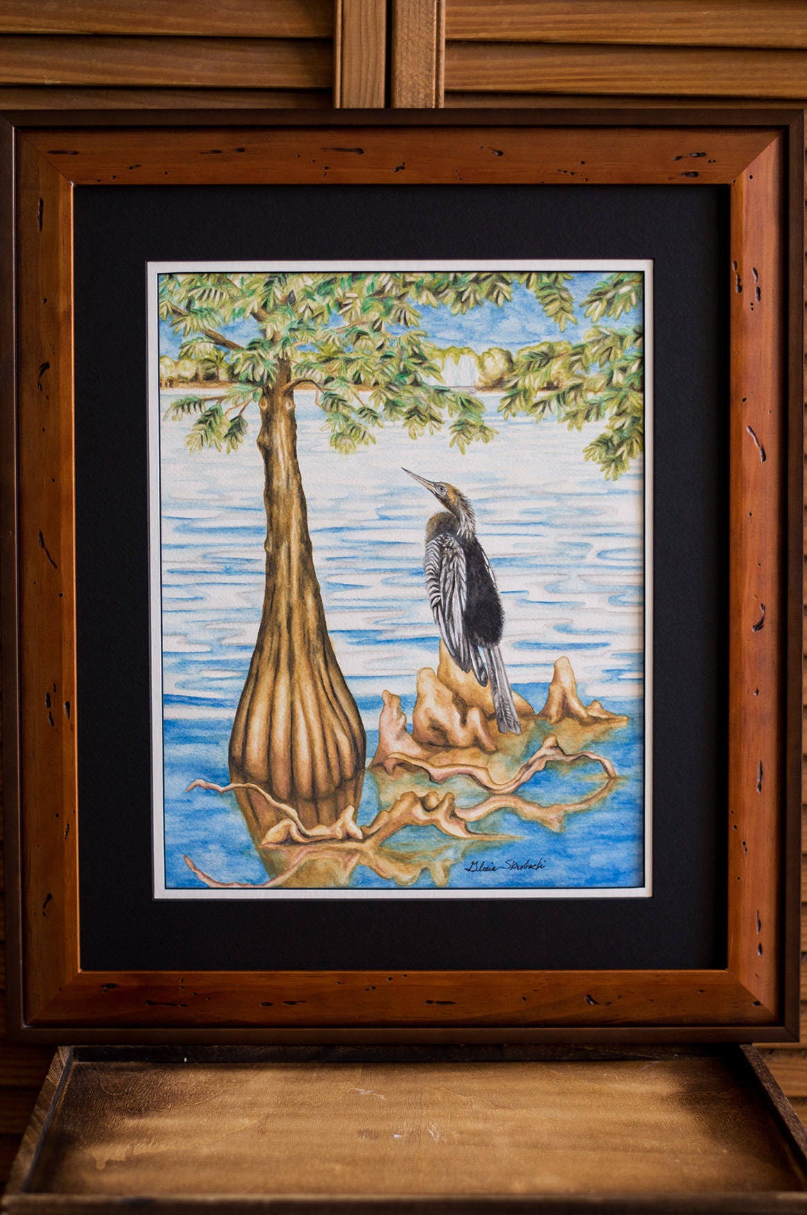 Anhinga Bird Prints, Round or Square Coasters, Original Bird Artwork ...
