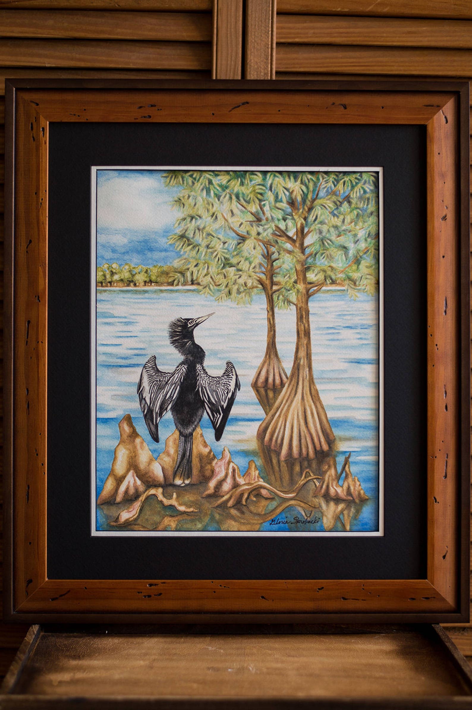 Anhinga, Bird Prints, Round or Square Coasters, Original Bird Artwork ...