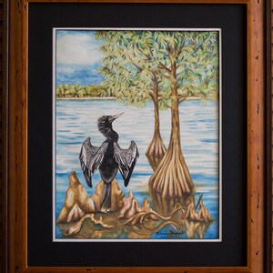 Anhinga, Bird Prints, Round or Square Coasters, Original Bird Artwork ...