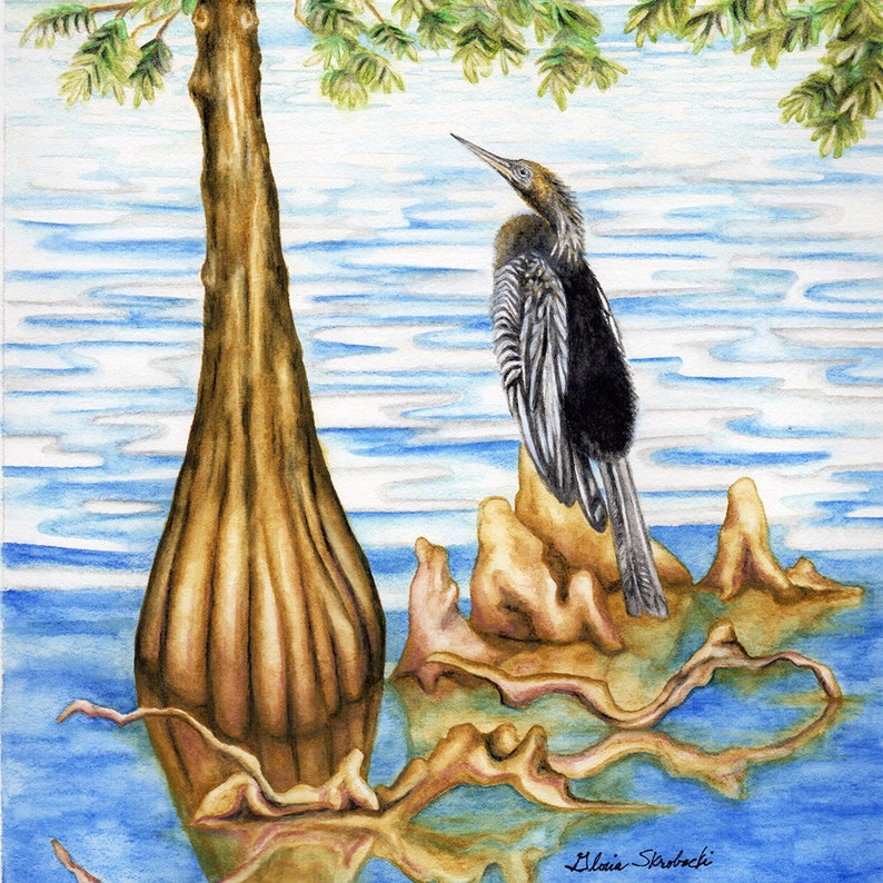 Anhinga Bird Prints, Round or Square Coasters, Original Bird Artwork ...