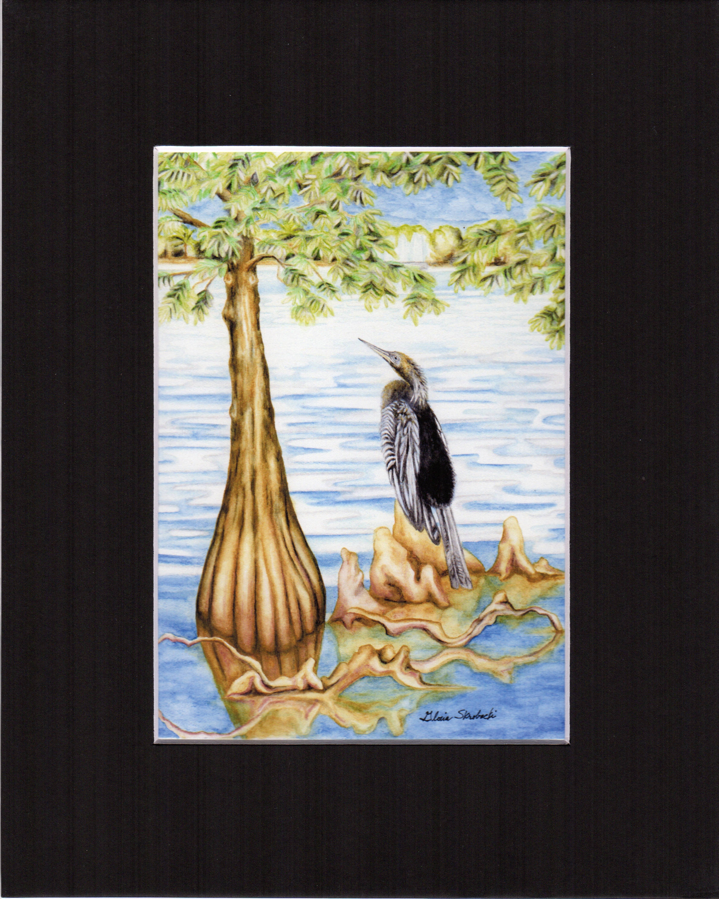 Anhinga Bird Prints Round or Square Coasters Original Bird - Etsy
