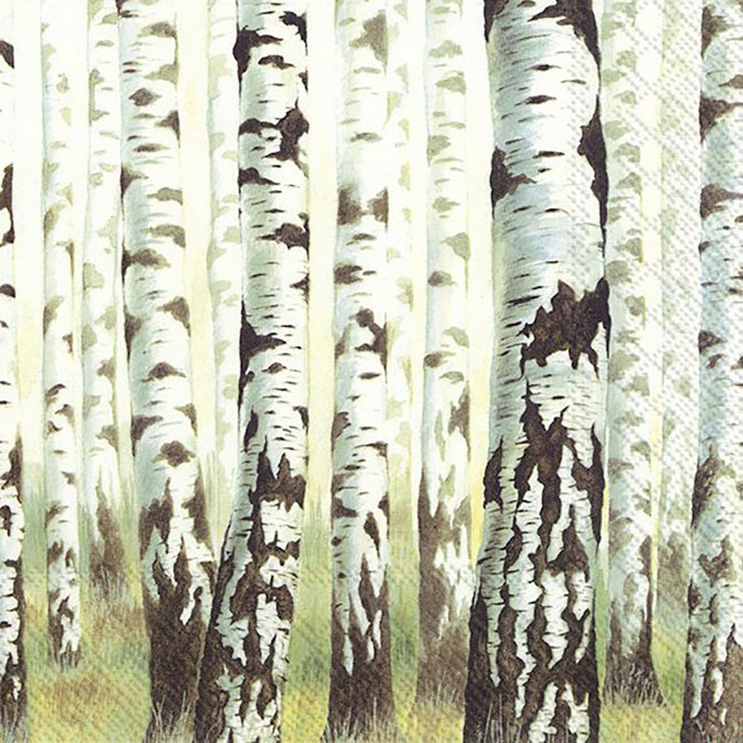 Magic Trees Silver Birch IHR Paper Table Napkins 33 Cm Square 3 Ply ...