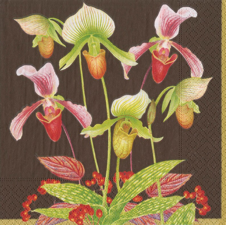 Caspari Slipper Orchid by Karen Kluglein Chestnut Paper Table Napkins ...