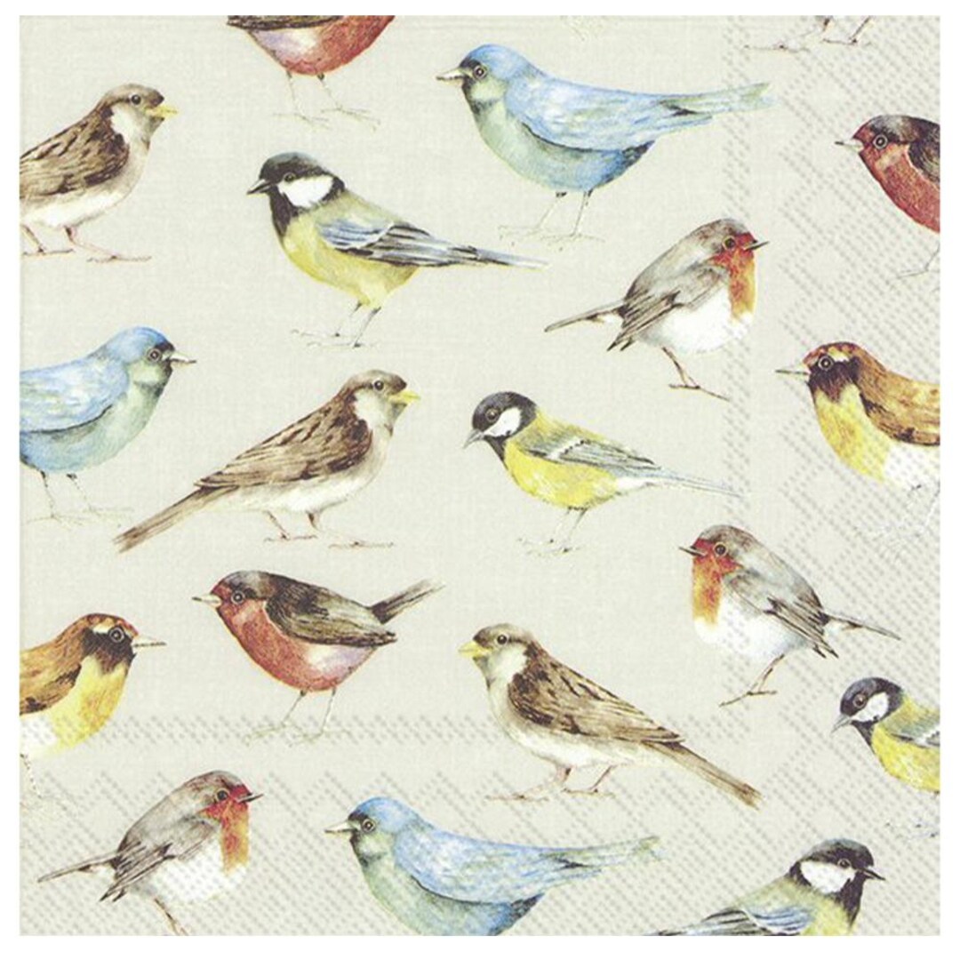 The Birds Cream IHR Paper Table Lunch Napkins 33 Cm Square 3 Ply - Etsy