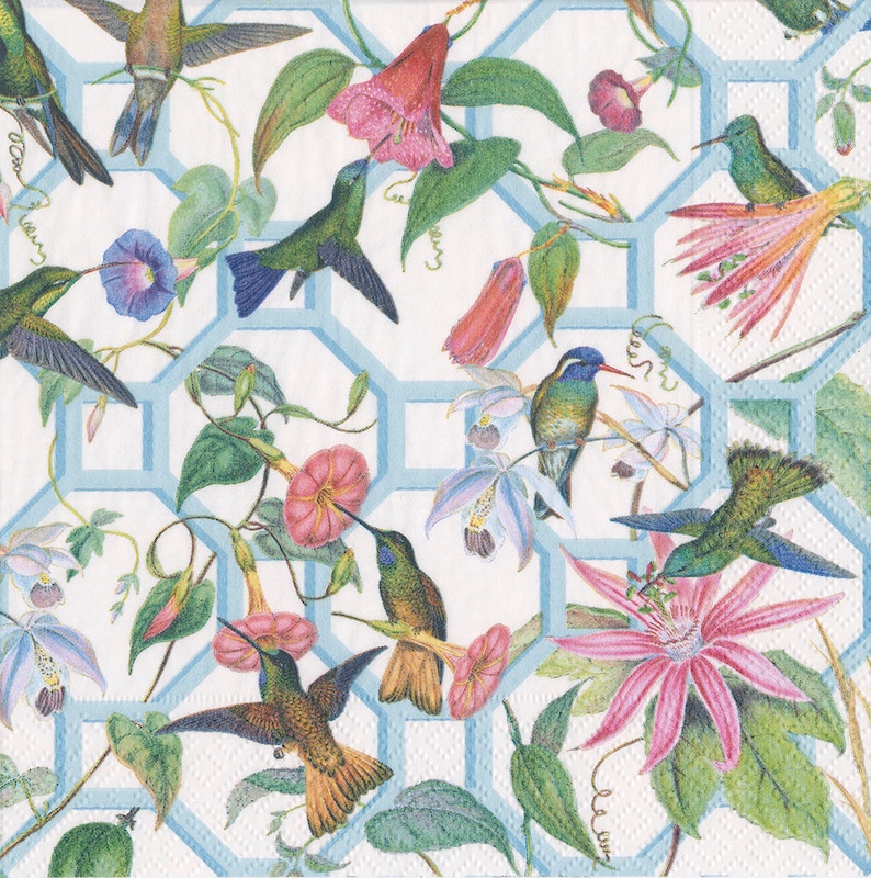 Hummingbird Trellis Caspari Paper Table Napkins 40 Cm Square 3 Ply ...