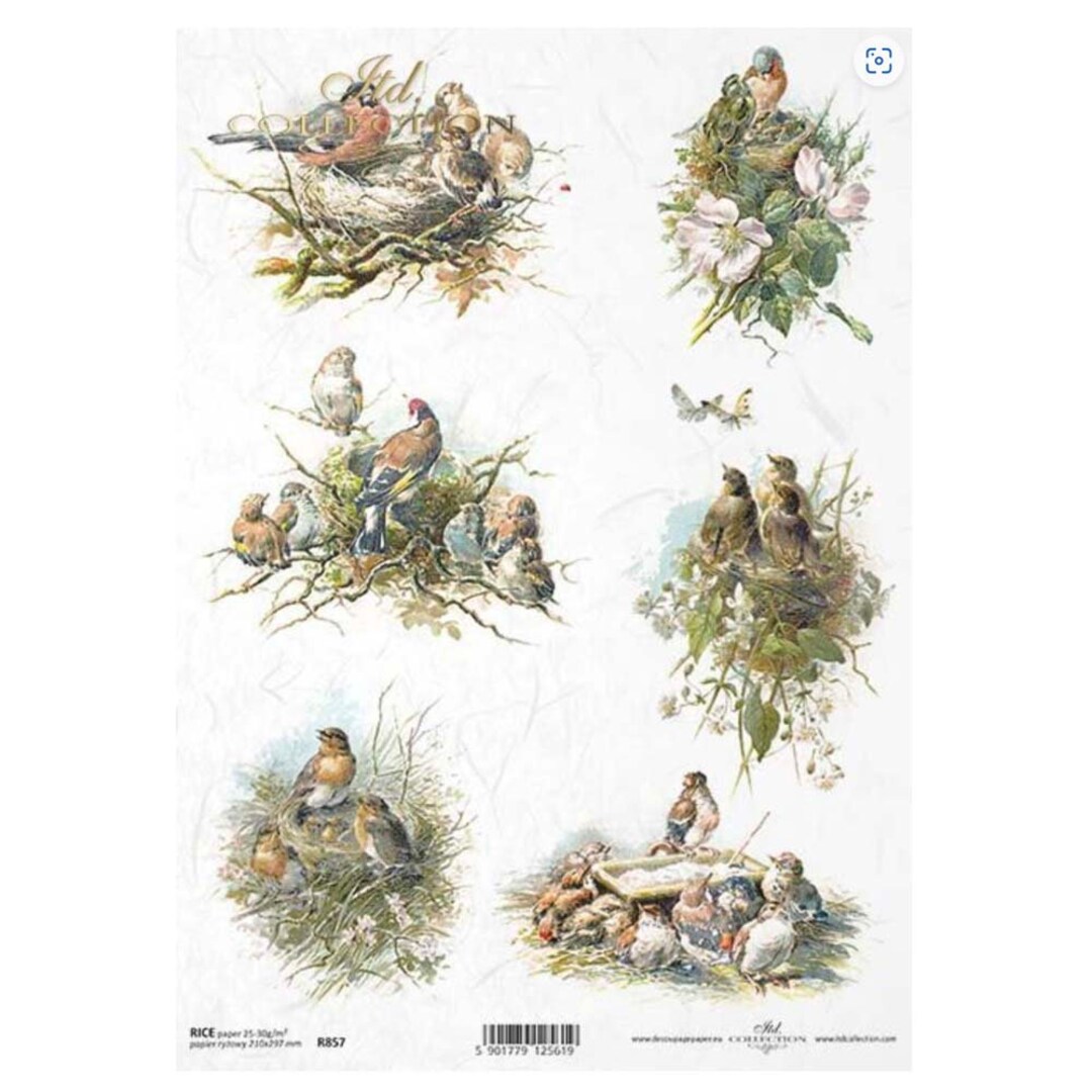 Birds Rice Paper ITD A4 Rice Paper Mulberry Paper for Decoupage 210 X ...