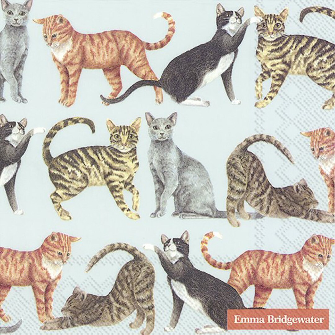 Emma Bridgewater CATS Light Blue IHR Paper Table Napkins 33 Cm Square 3 ...