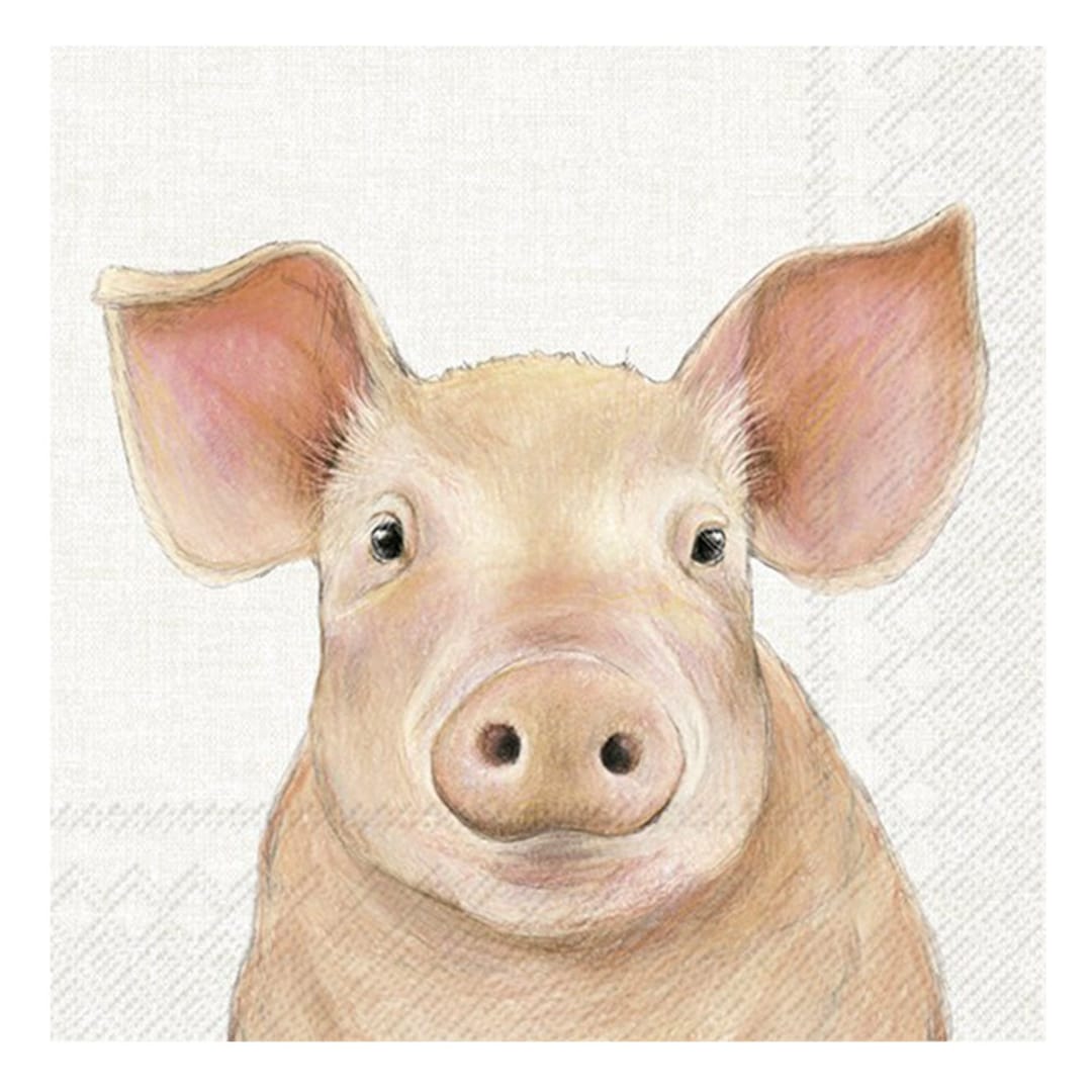 Farm Pig Cream IHR Paper Table Napkins 33 Cm Square 3 Ply Lunch Napkins ...