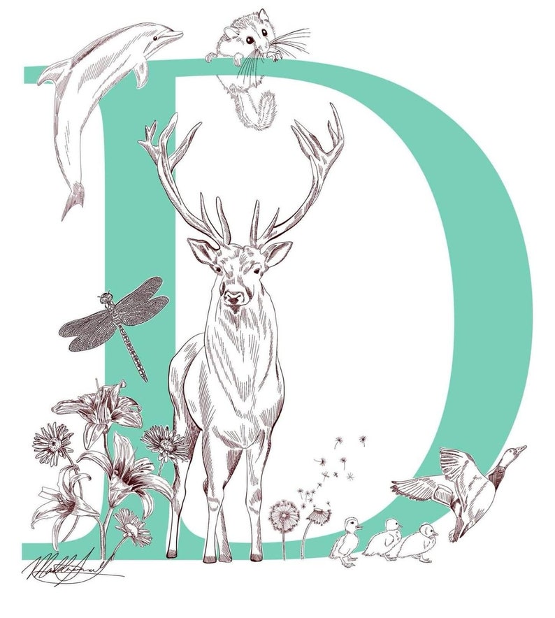 Letter D Print - Etsy